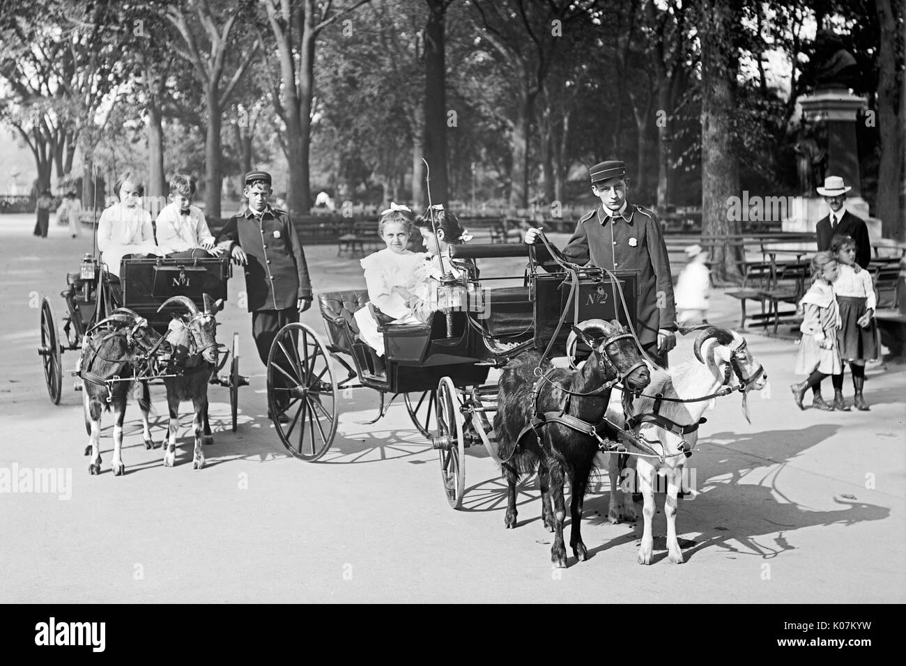 Children in Central Park, riding goat carriages in the park Stock Photo ...