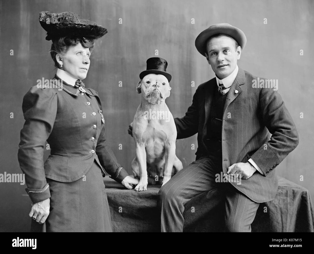 Bobbie dog hi-res stock photography and images - Alamy
