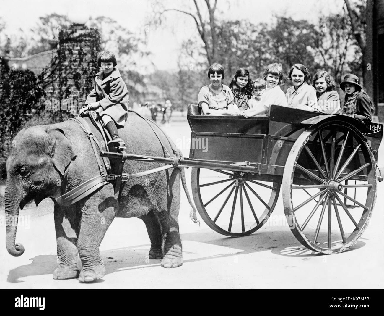 Sheba the elephant pulling children in a cart at Detroit Zoo Stock ...