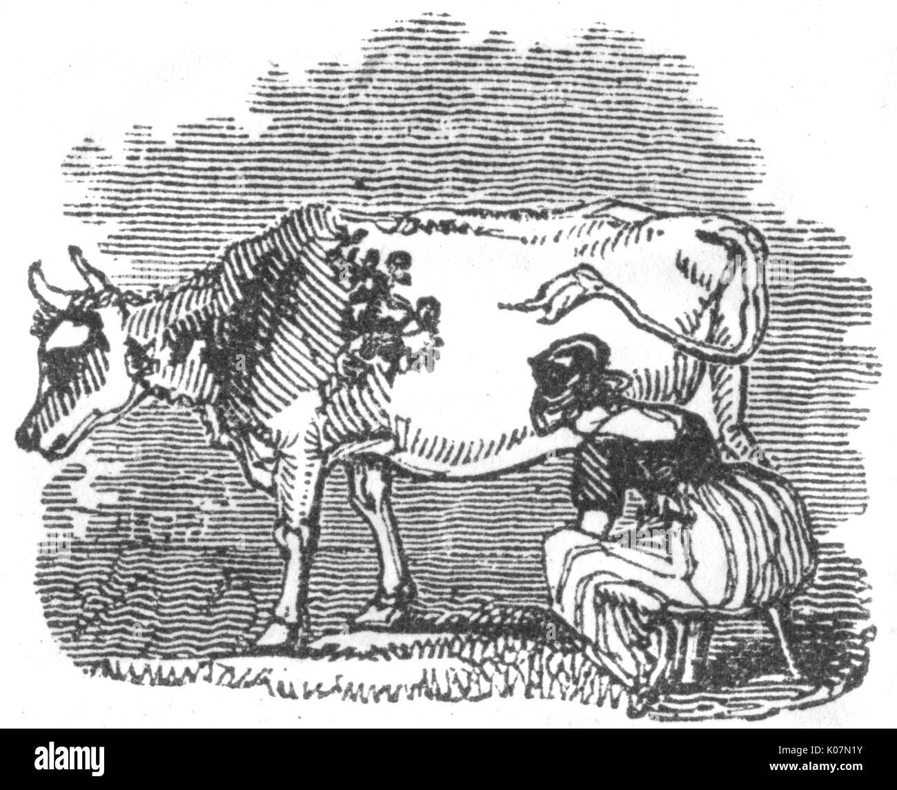 Woman milking cow, c. 1800 Stock Photo - Alamy