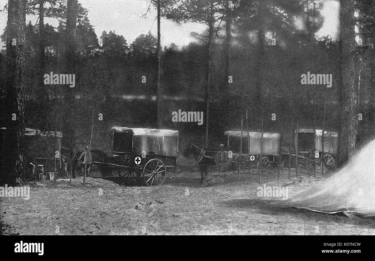 Ambulance carts on the eastern front, Russia, WW1 Stock Photo - Alamy