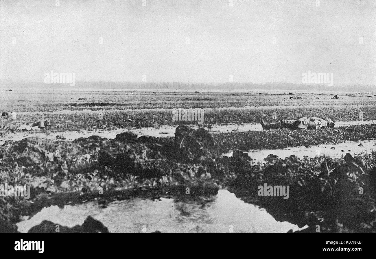 Russian Red Cross orderly killed on the eastern front, WW1 Stock Photo ...