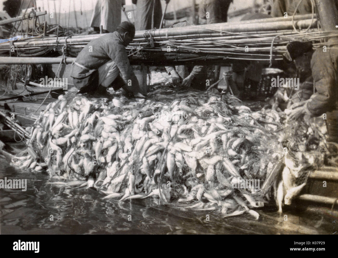 Hauling fish hi-res stock photography and images - Alamy