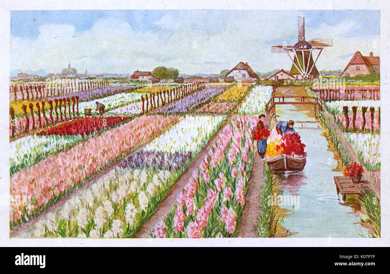 1910 netherlands hi-res stock photography and images - Alamy