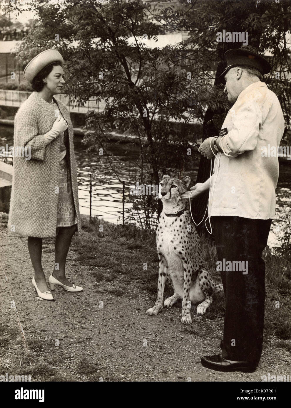 Princess Margaret meeting a Cheetah and Zoo Keeper Stock Photo - Alamy