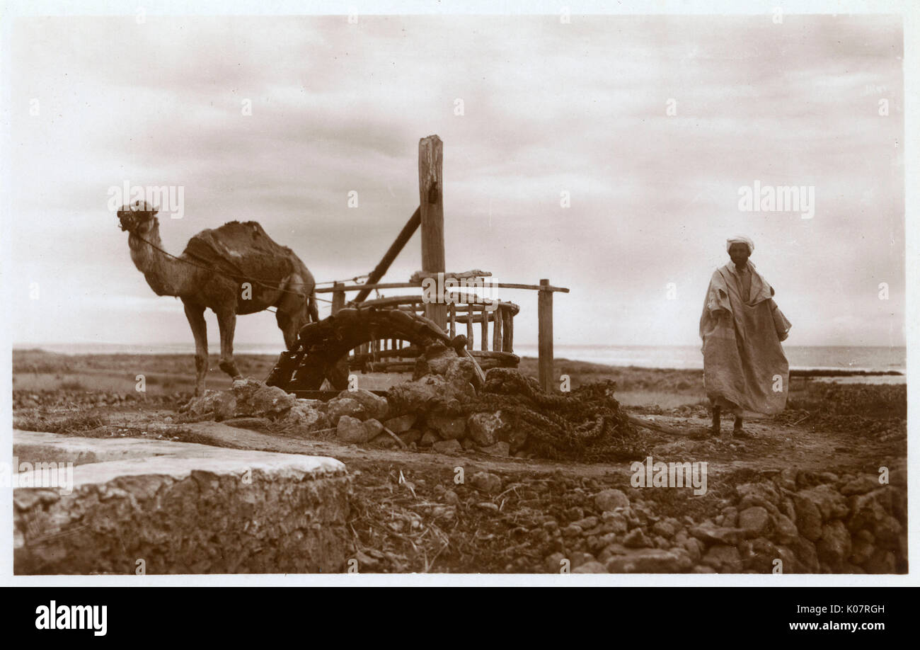 Camel-powered water wheel in Morocco Stock Photo - Alamy