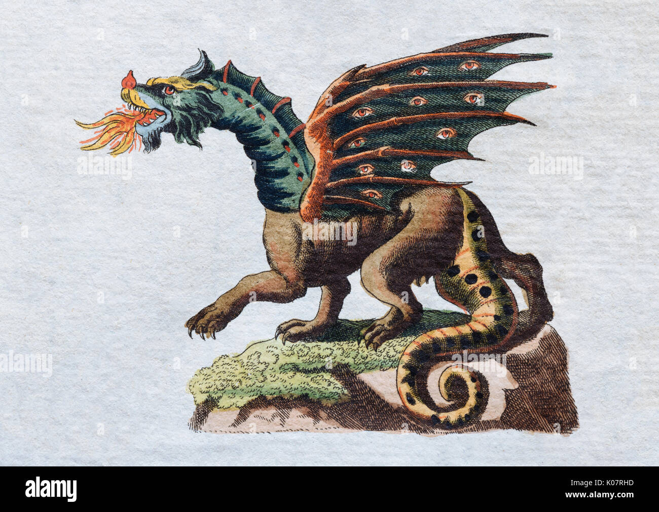 Dragon, hand-colored copper engraving from children's picture book by ...