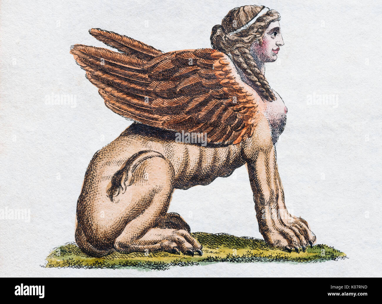 Egyptian Sphinx, handcoloured copper engraving from Friedrich Justin ...