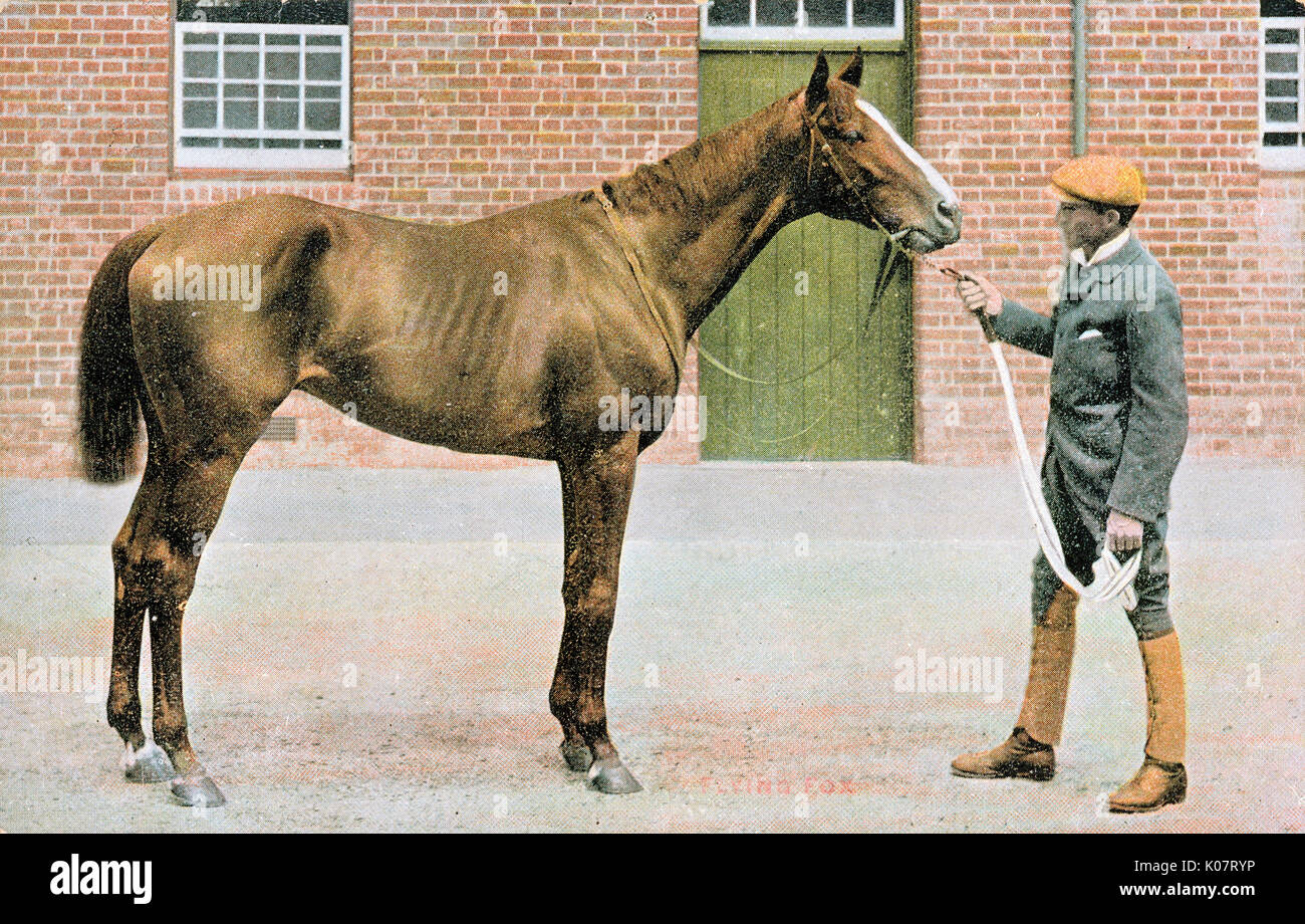 Flying Fox, champion racehorse, with groom Stock Photo - Alamy