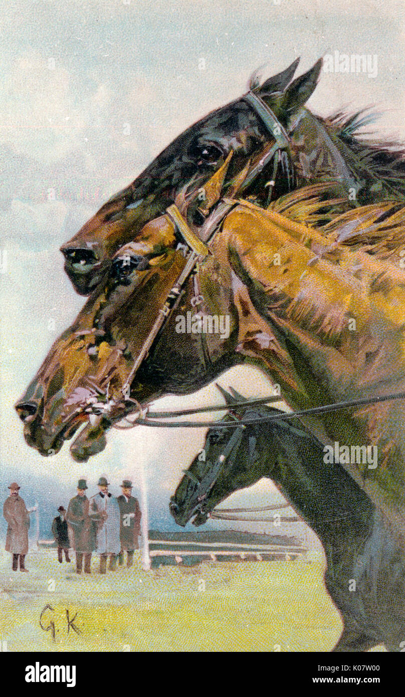 Three horses racing -- a close finish Stock Photo - Alamy