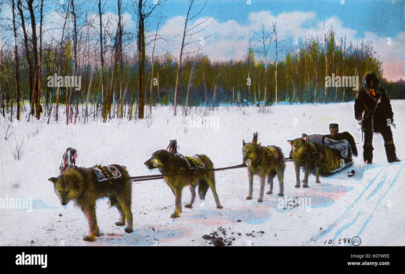 Western Canada - Indian Husky Dog Team Stock Photo - Alamy