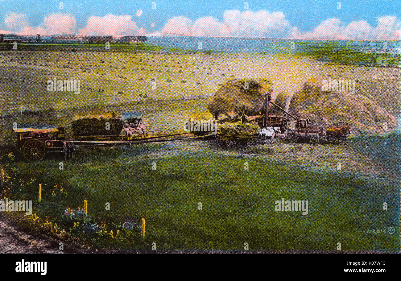 Western Canada - Threshing Scene Stock Photo - Alamy