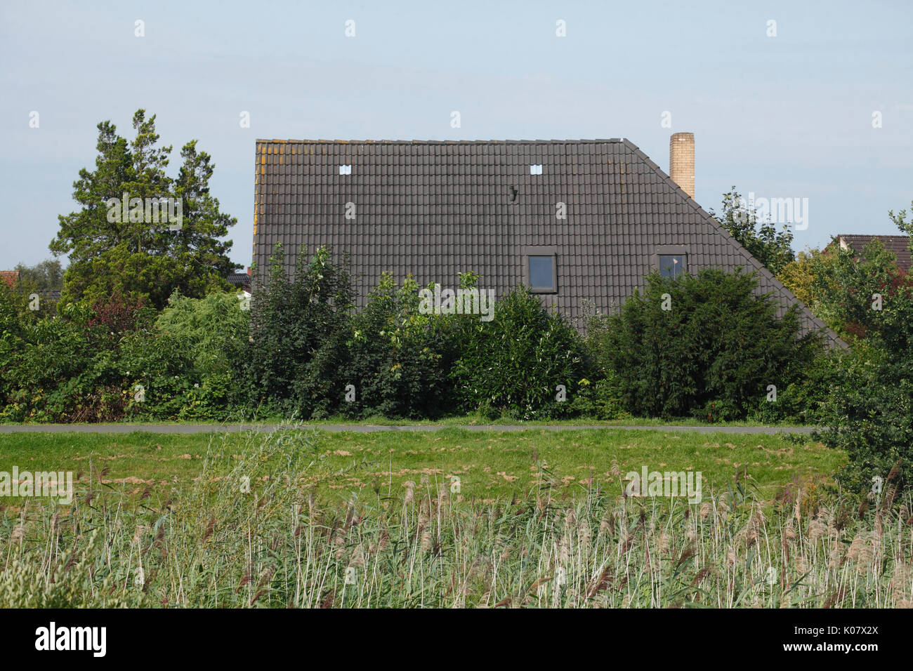 Residential House with green trees Stock Photo - Alamy