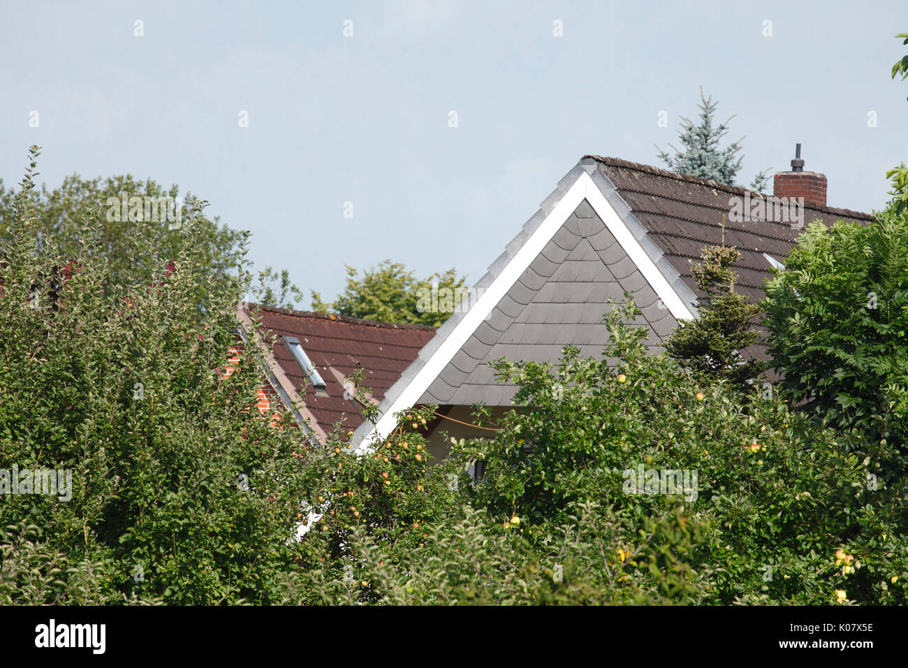 Residential House with green trees Stock Photo - Alamy