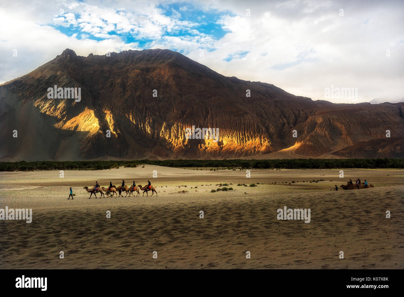 Hunder Sand Dunes of Nubra Valley in Leh Ladakh, Jammu and Kashmir ...