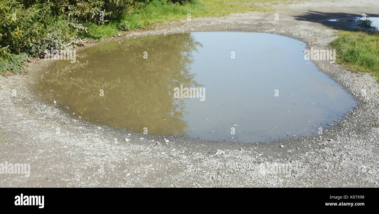 rain puddle on a pad Stock Photo - Alamy