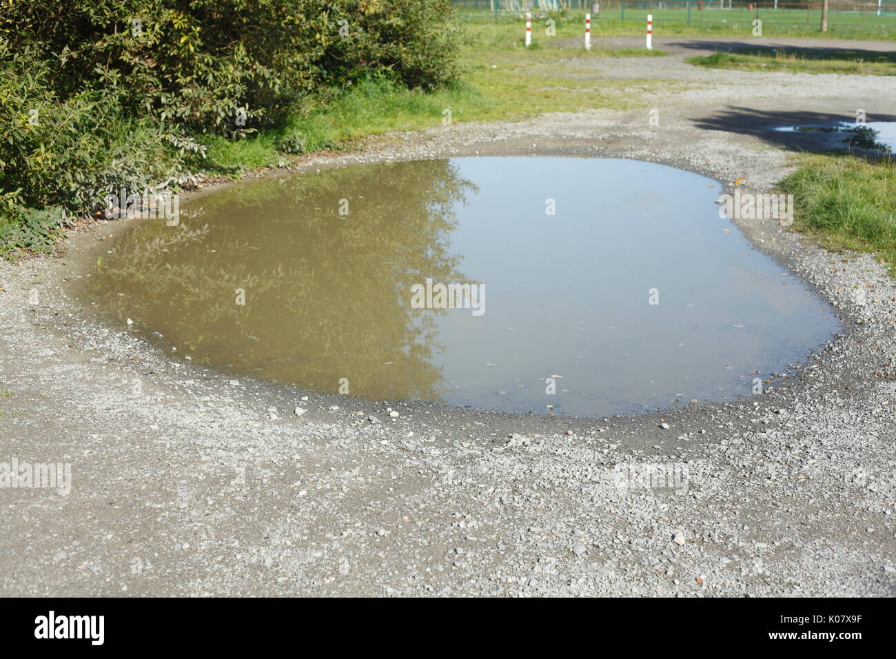 rain puddle on a pad Stock Photo - Alamy