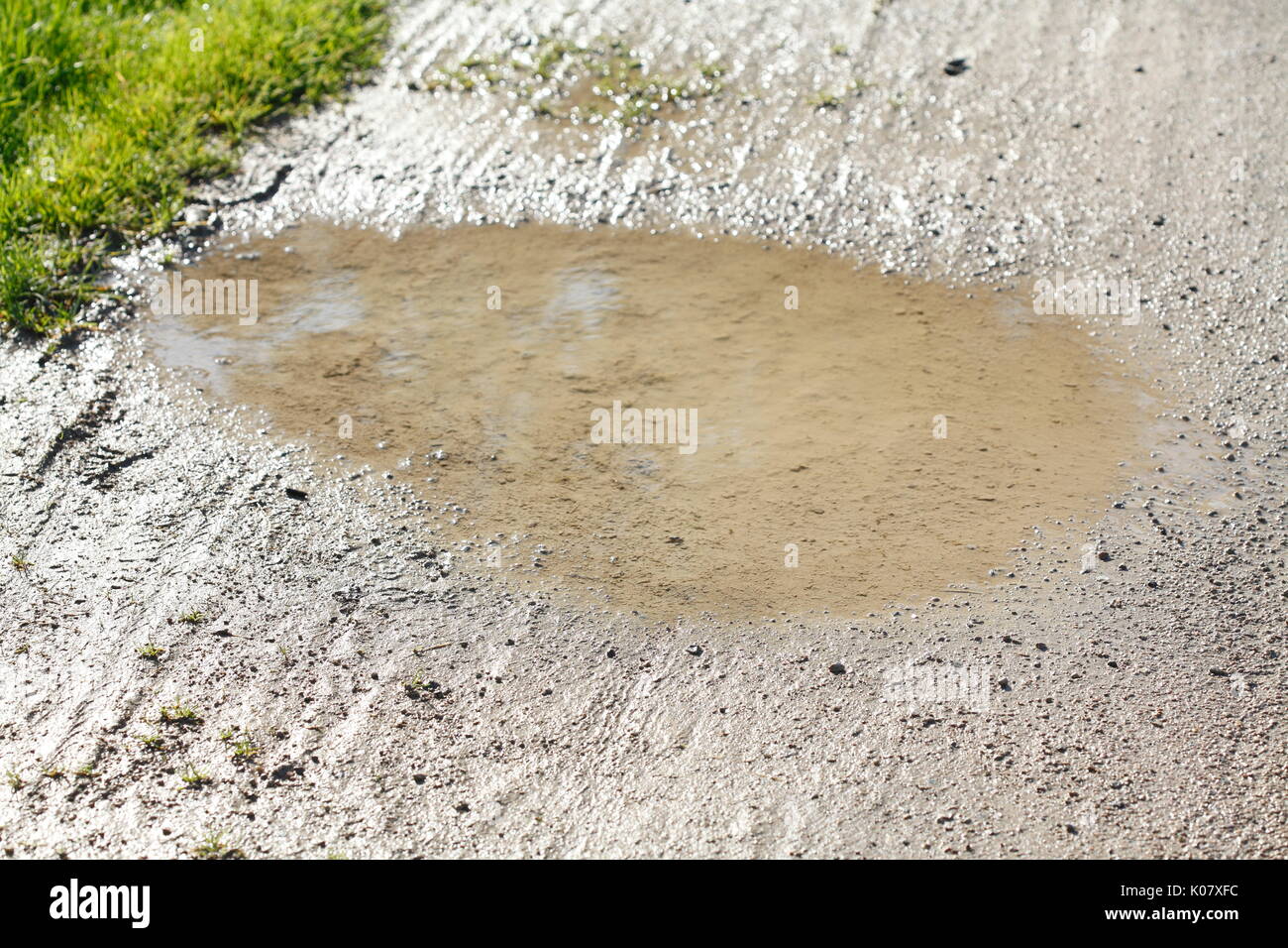 rain puddle on a pad Stock Photo - Alamy