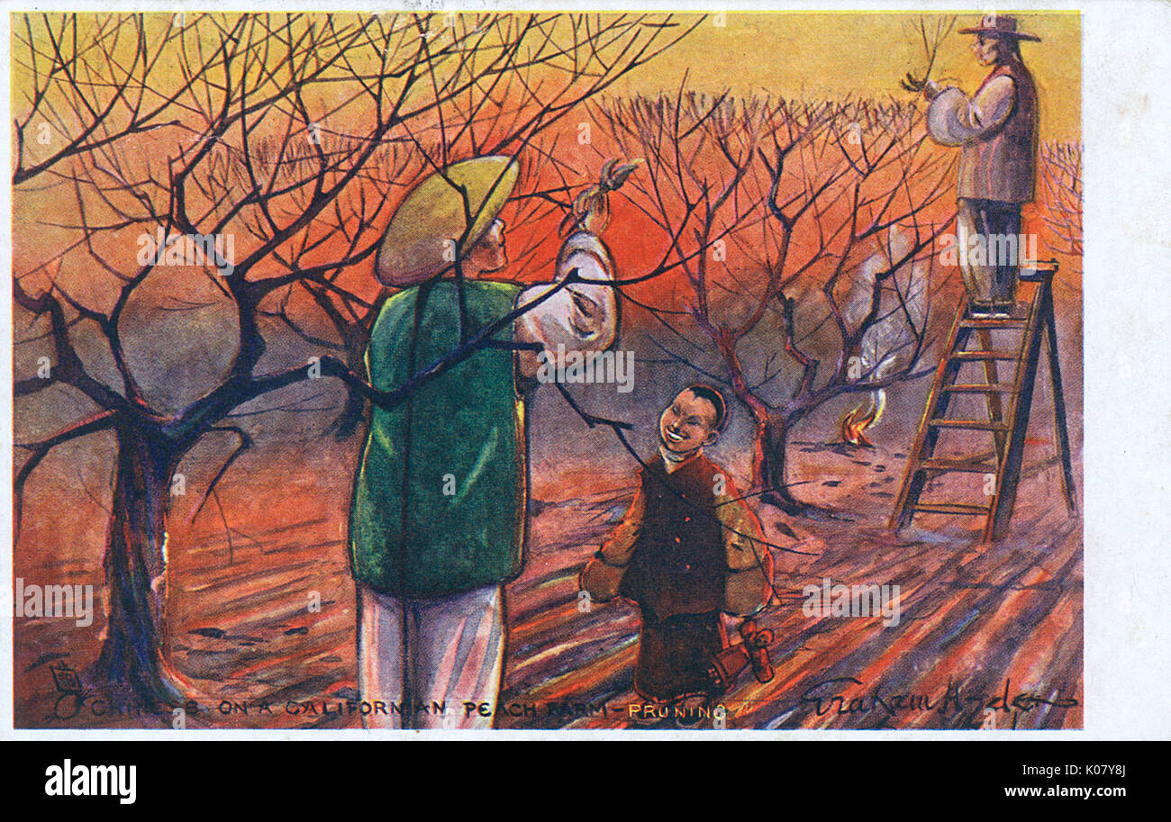 Chinese workers pruning trees hi-res stock photography and images - Alamy