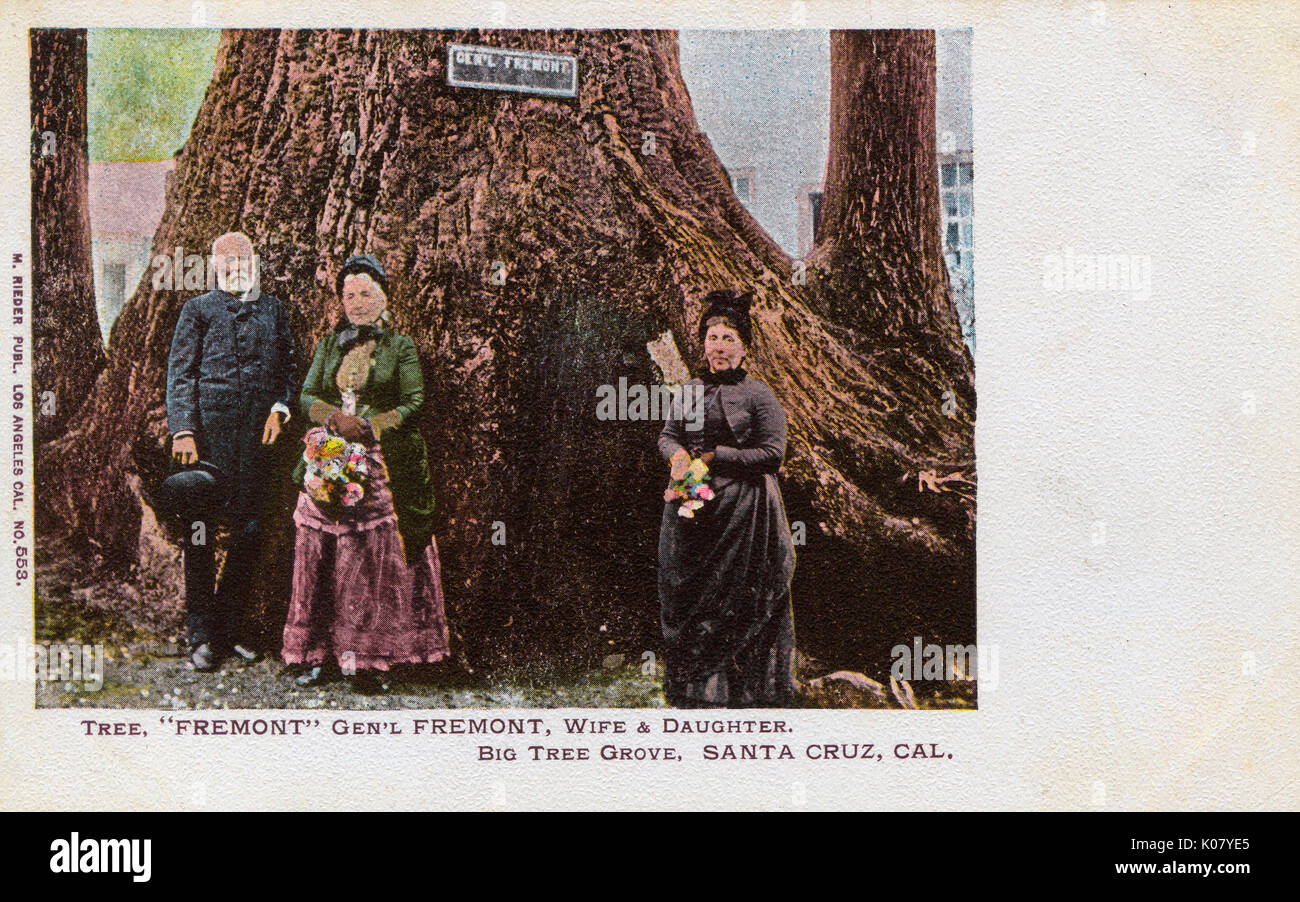General Fremont and tree, Santa Cruz, California, USA Stock Photo - Alamy
