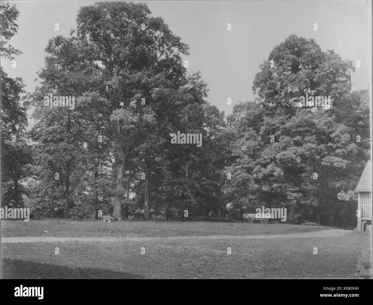 Corner trees hi-res stock photography and images - Alamy