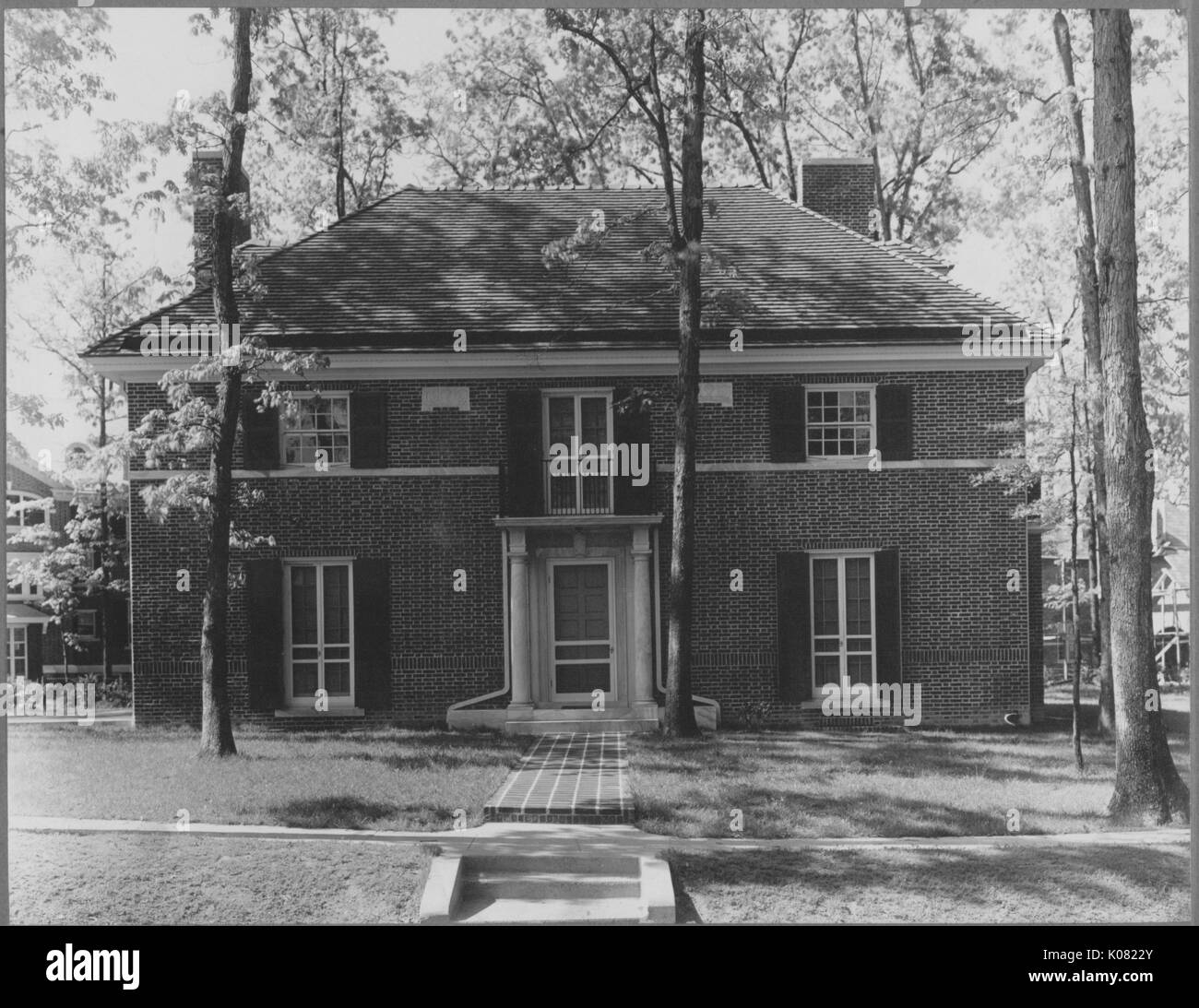 Two tall trees in Black and White Stock Photos & Images - Alamy