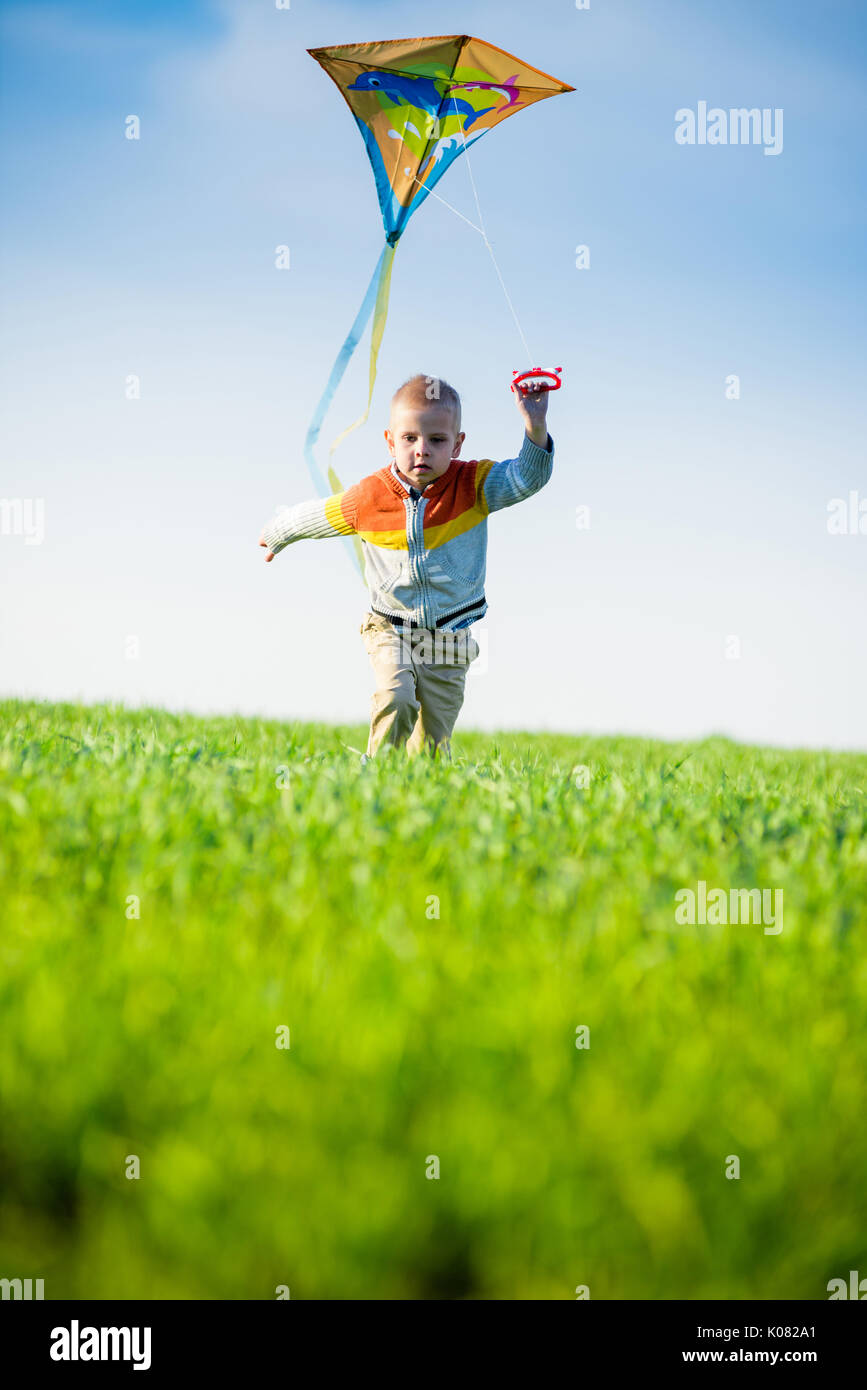 Young boy flies his kite in an open field. Little kid playing with kite ...