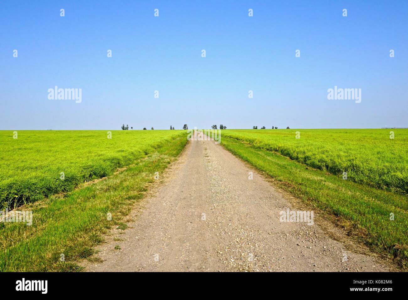 Gravel road through field hi-res stock photography and images - Alamy
