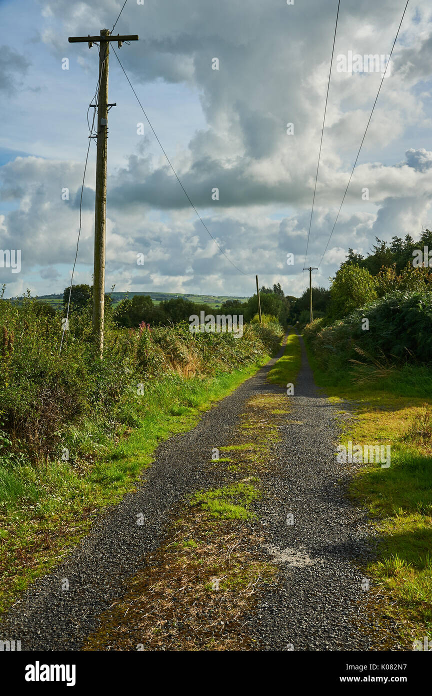 A narrow rural lane in County Kerry with grass growing along the centre ...