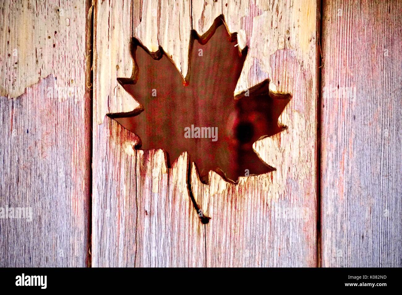 Canadian maple leaf hi-res stock photography and images - Alamy