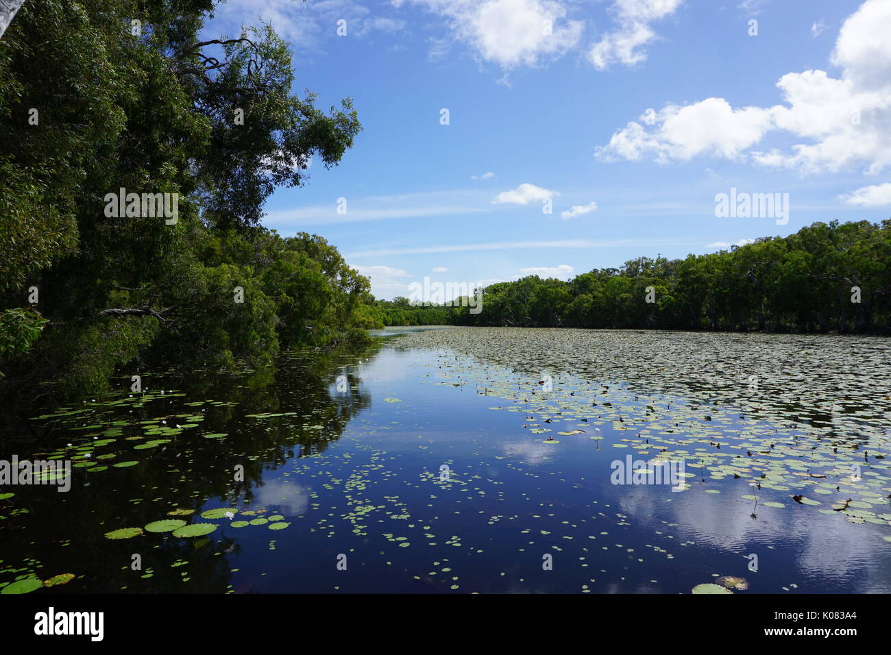 Conservation park hi-res stock photography and images - Alamy