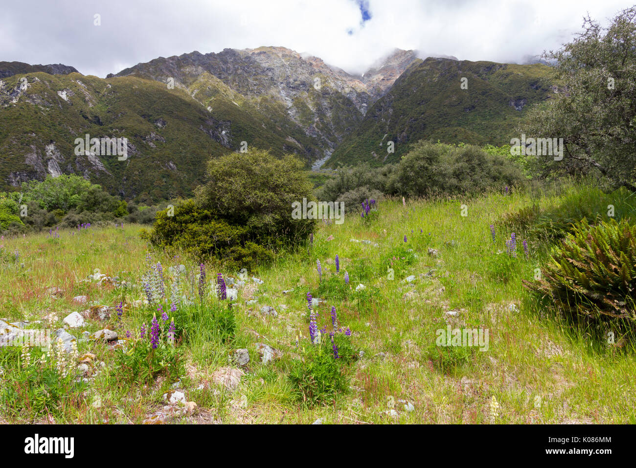 Aoraki mount cook village hi-res stock photography and images - Alamy