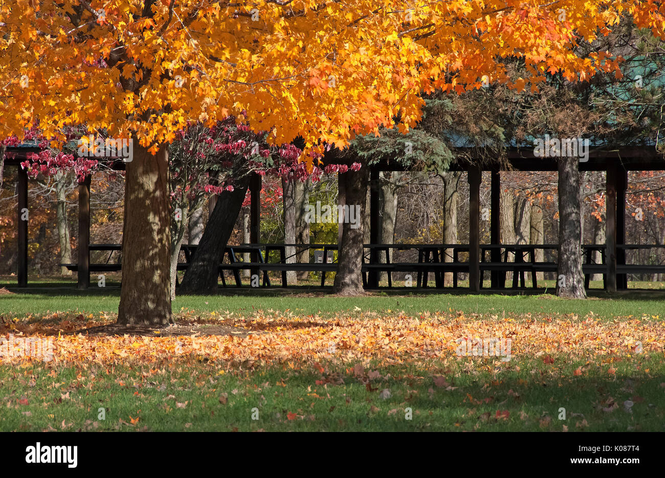 Outing in public park hi-res stock photography and images - Alamy