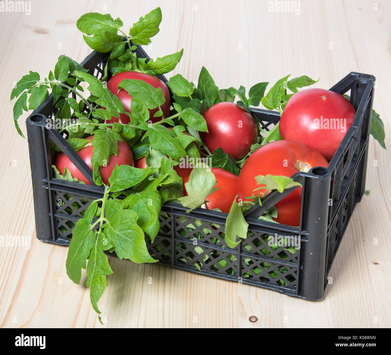 Red tomatoes in a box hi-res stock photography and images - Alamy