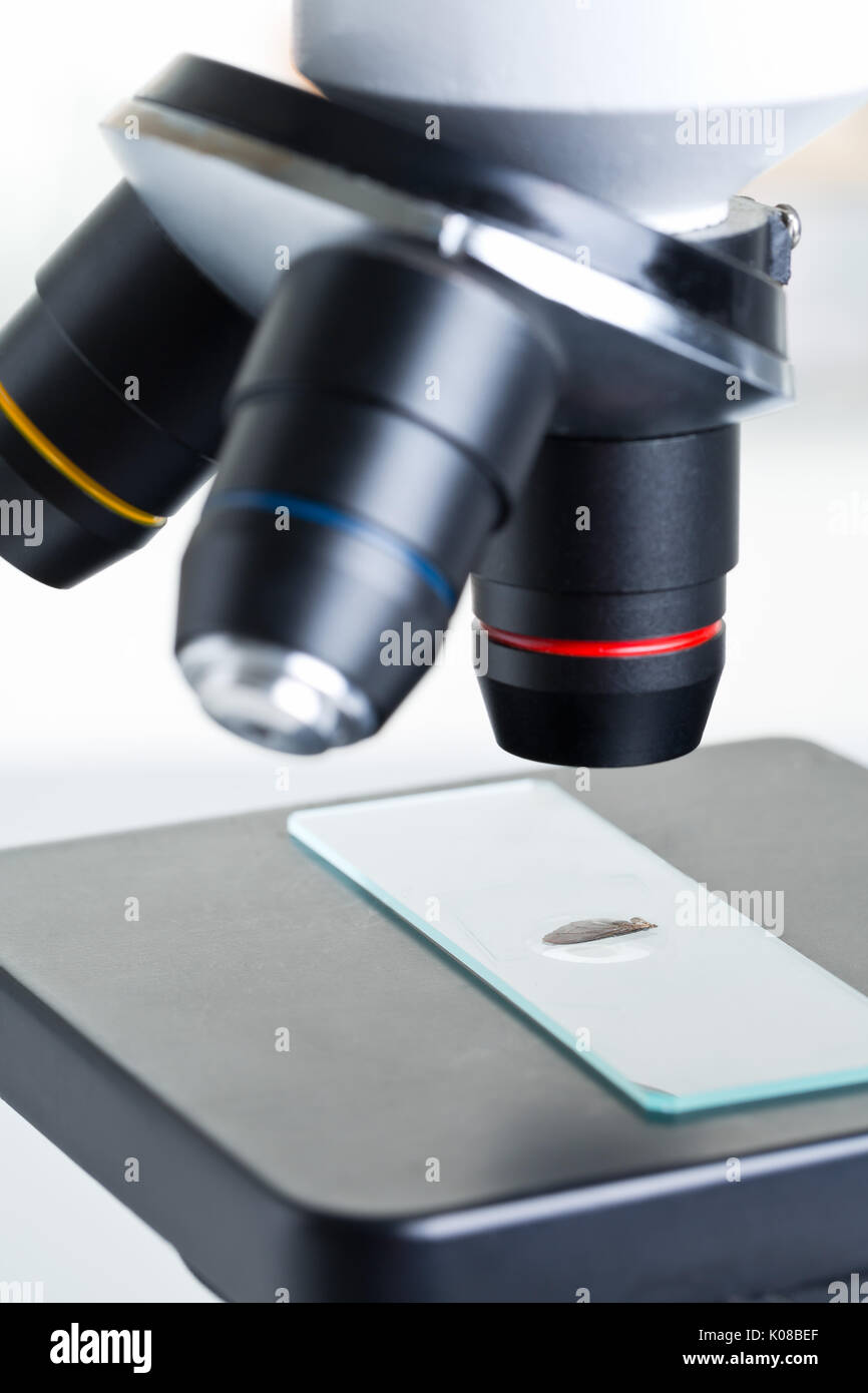 Close up of microscope with sample in lab with selective focus over ...