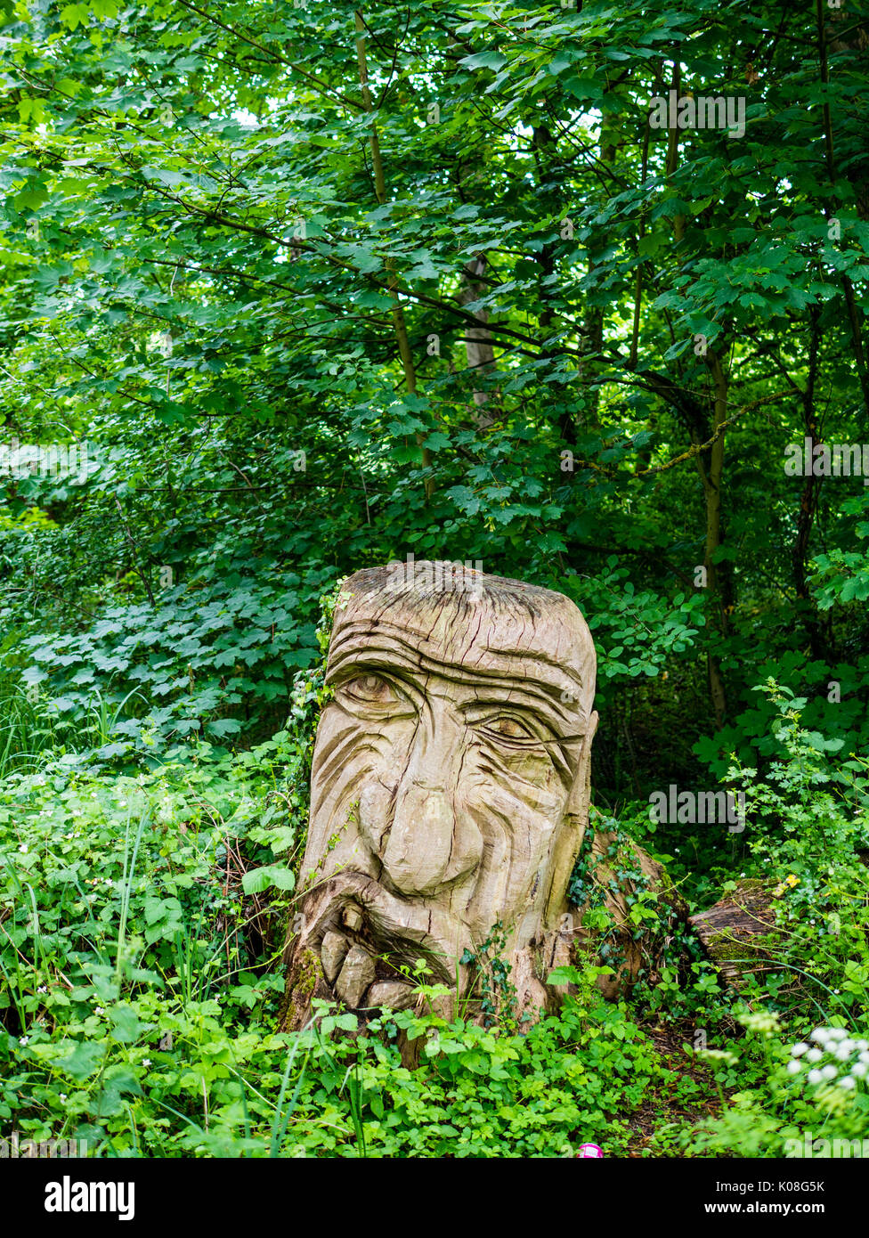 Thames valley park nature reserve hi-res stock photography and images ...