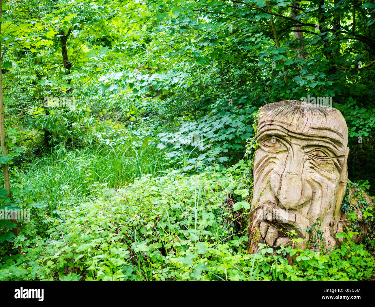 View Island Park and Nature Reserve, River Thames, Caversham, Reading ...