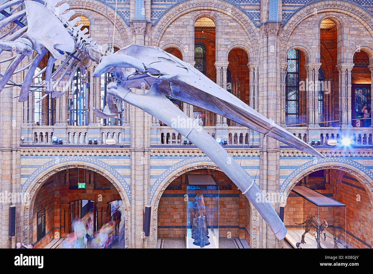 Sir michael hintze hi-res stock photography and images - Alamy