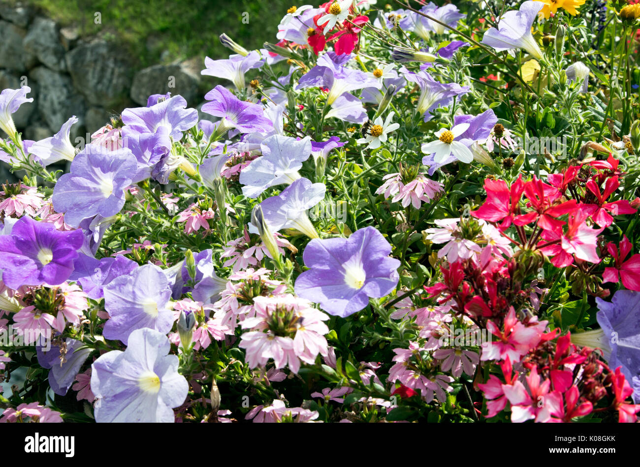 Montchavin hi-res stock photography and images - Alamy