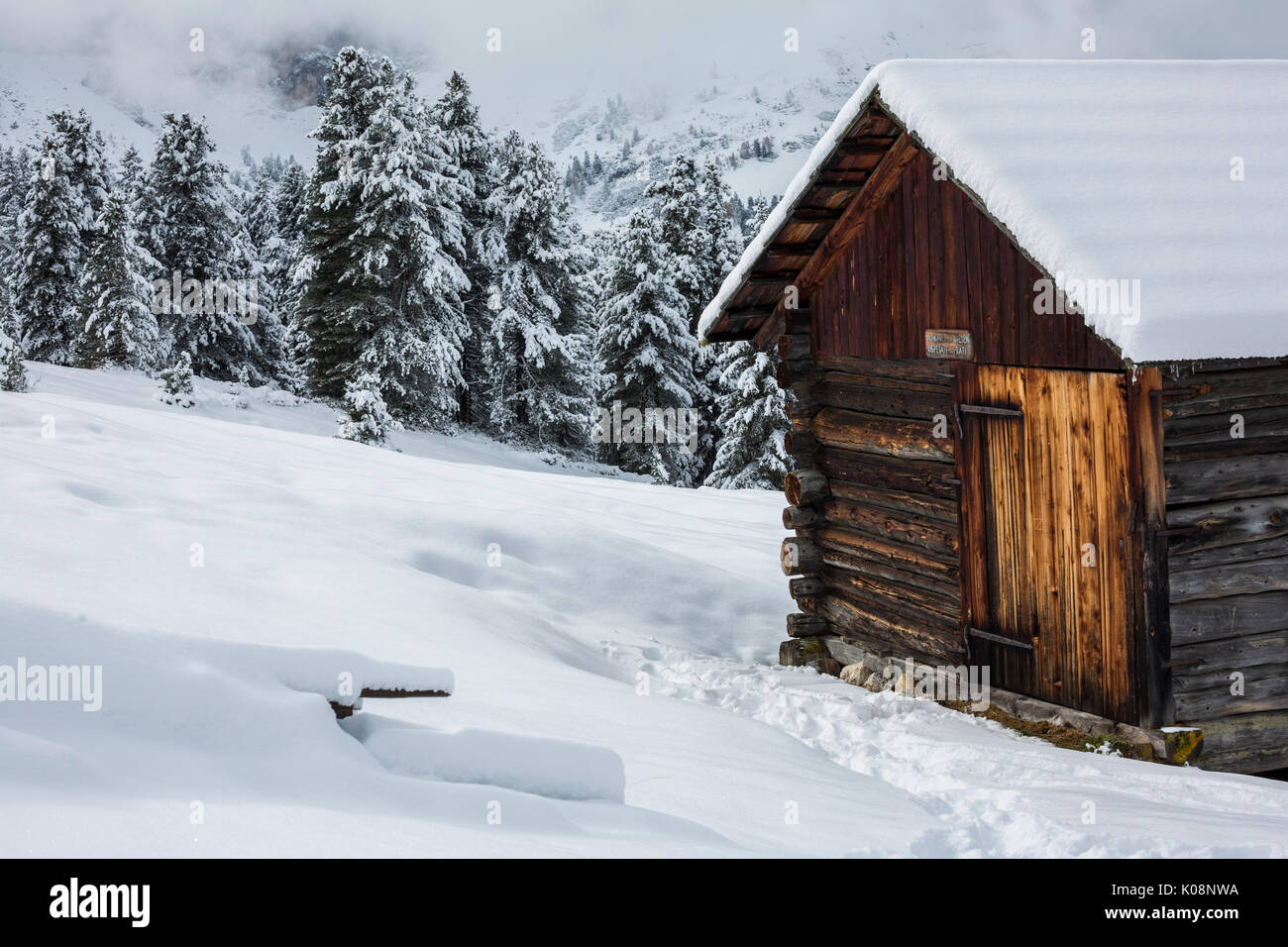 Wooden lodge and pines covered in snow. Passo delle Erbe, Bolzano ...