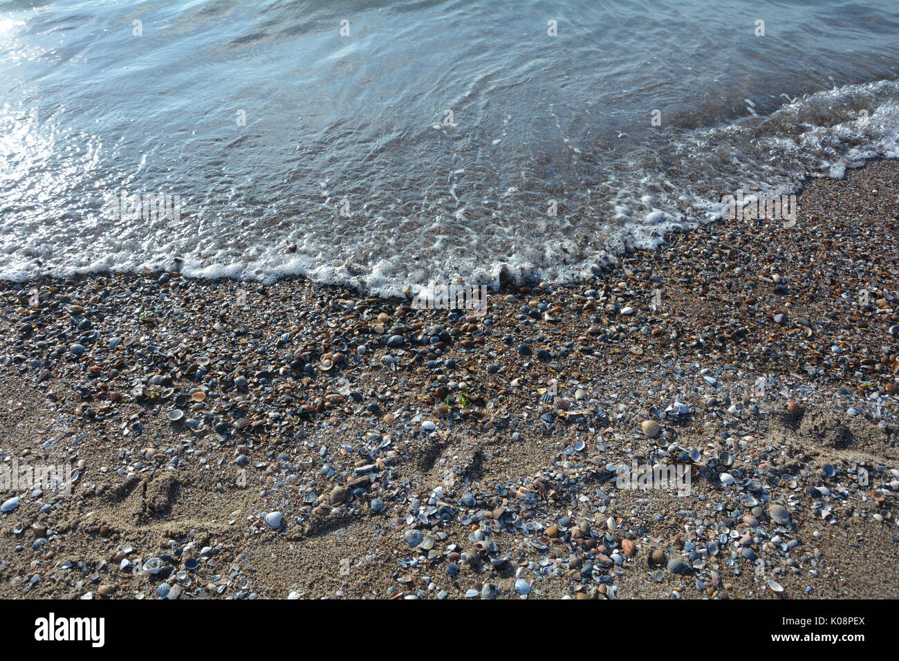 Many shells on the sand beach with wave Stock Photo - Alamy