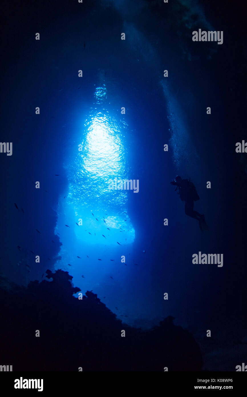 Cave of swallows diving hi-res stock photography and images - Alamy