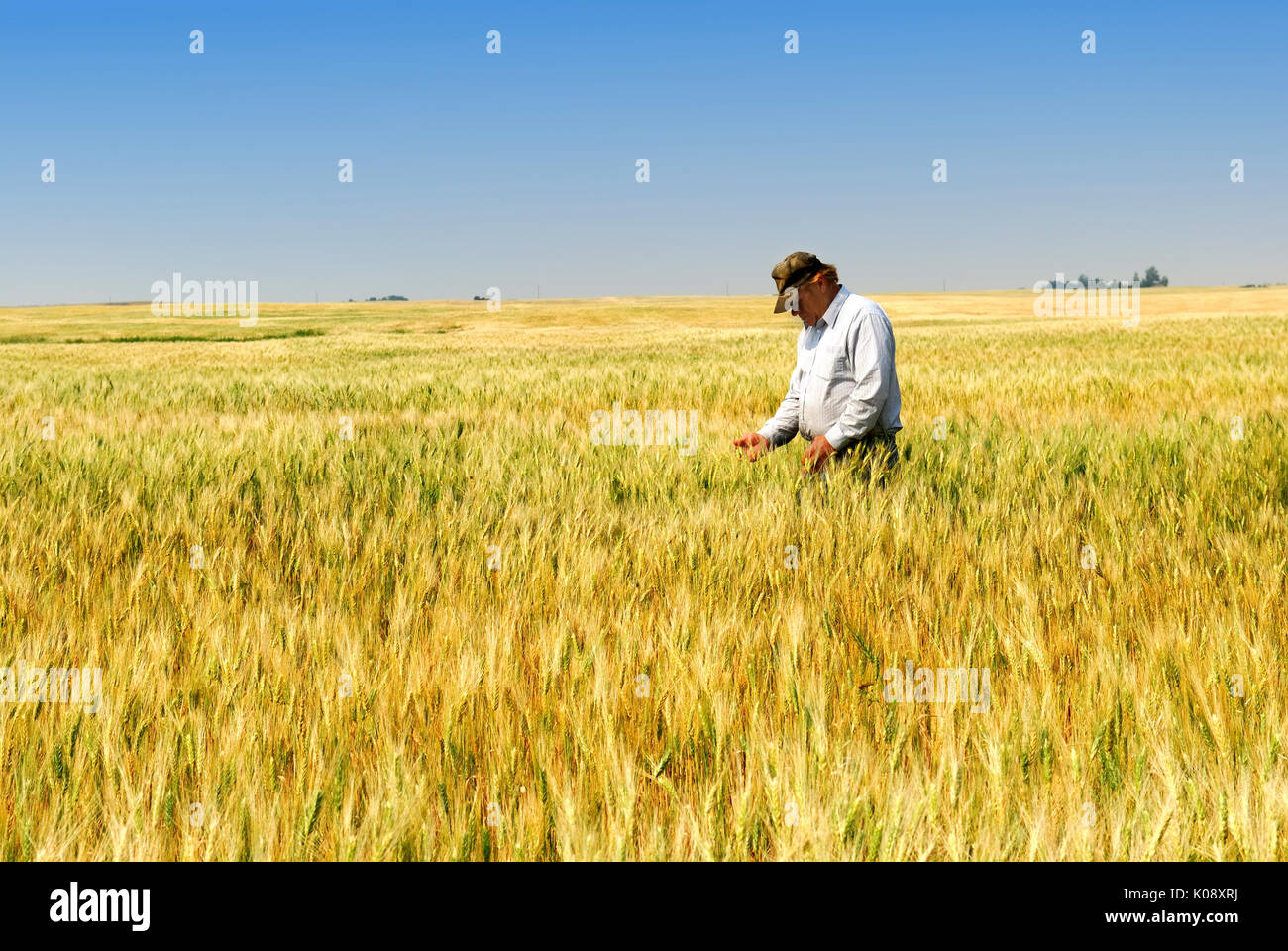 Canadian Prairie High Resolution Stock Photography and Images - Alamy