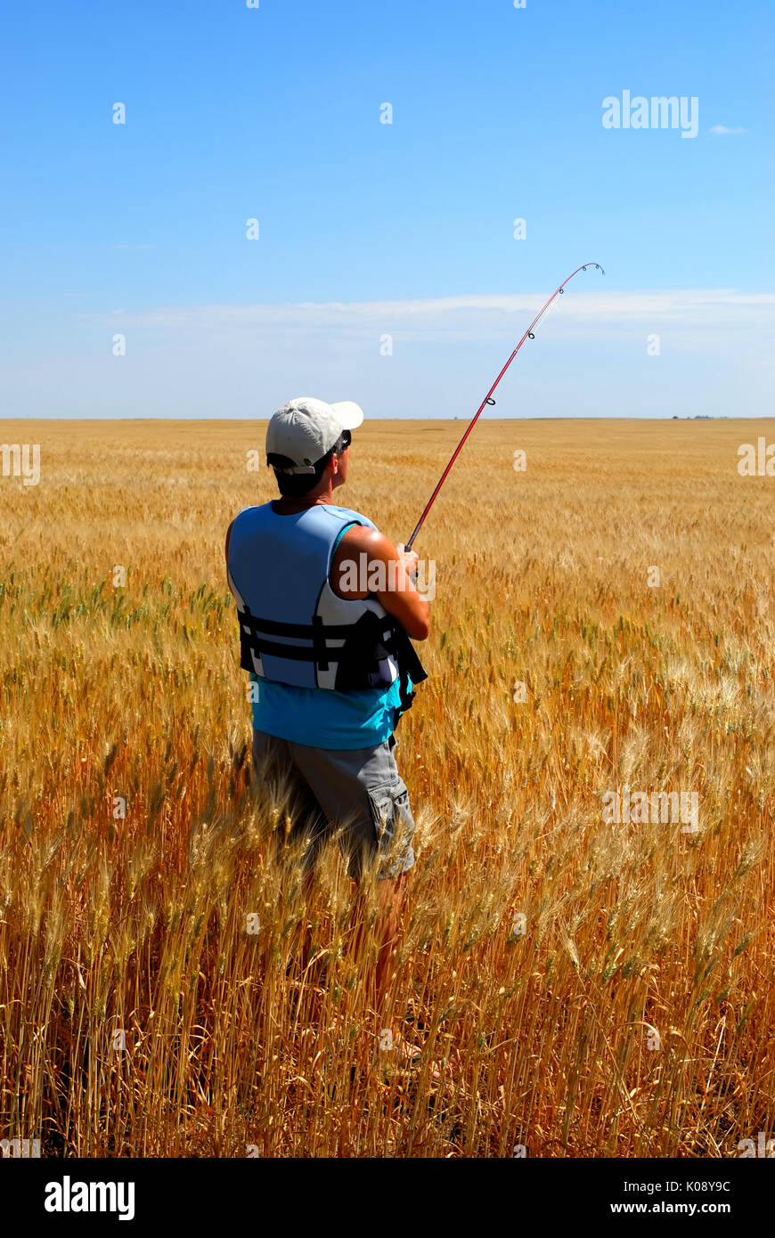 Durum wheat canada hi-res stock photography and images - Alamy