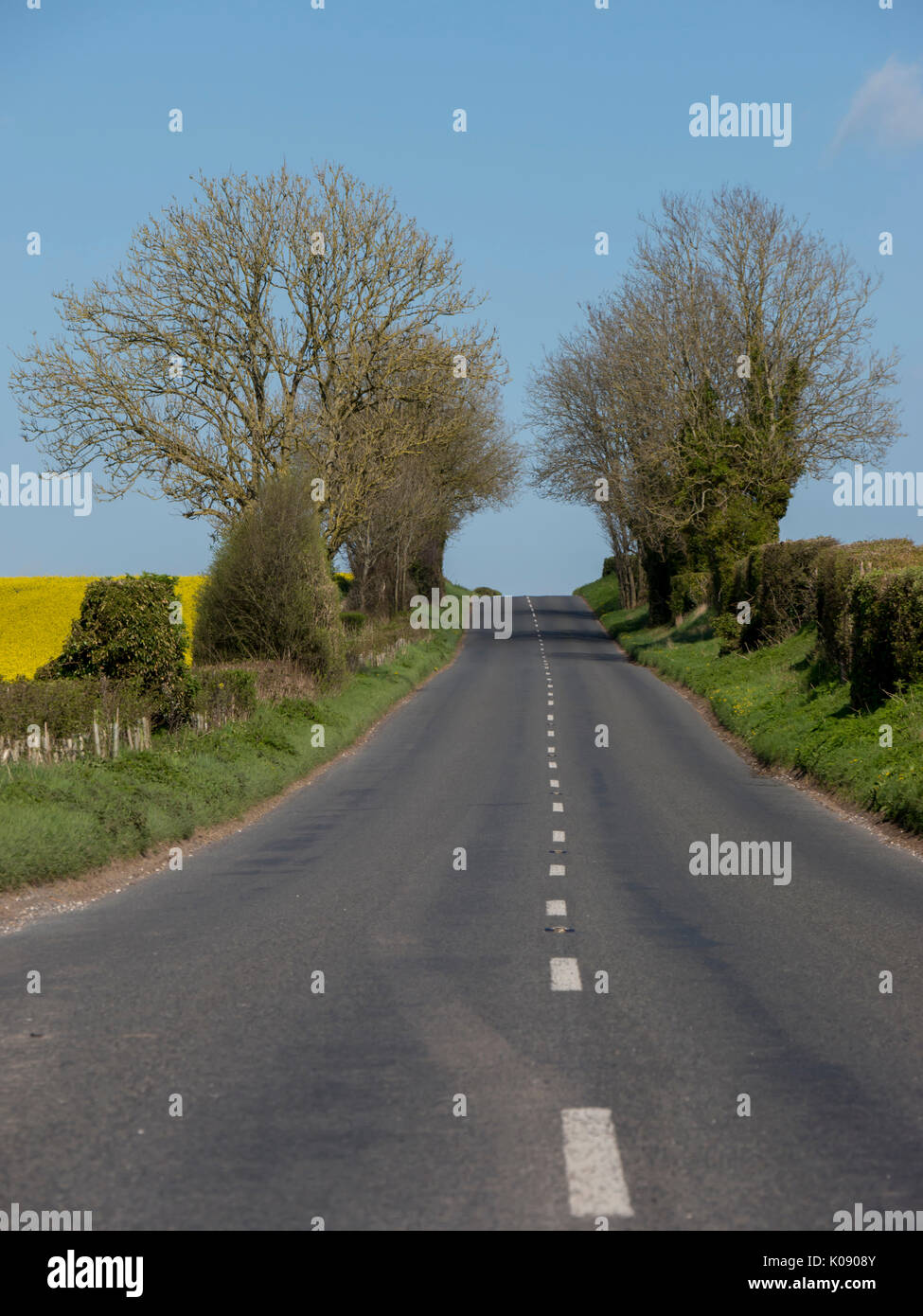 Road through tree hi-res stock photography and images - Alamy