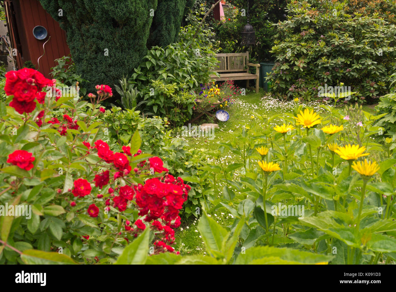 Allotment garden with wooden bench Stock Photo - Alamy
