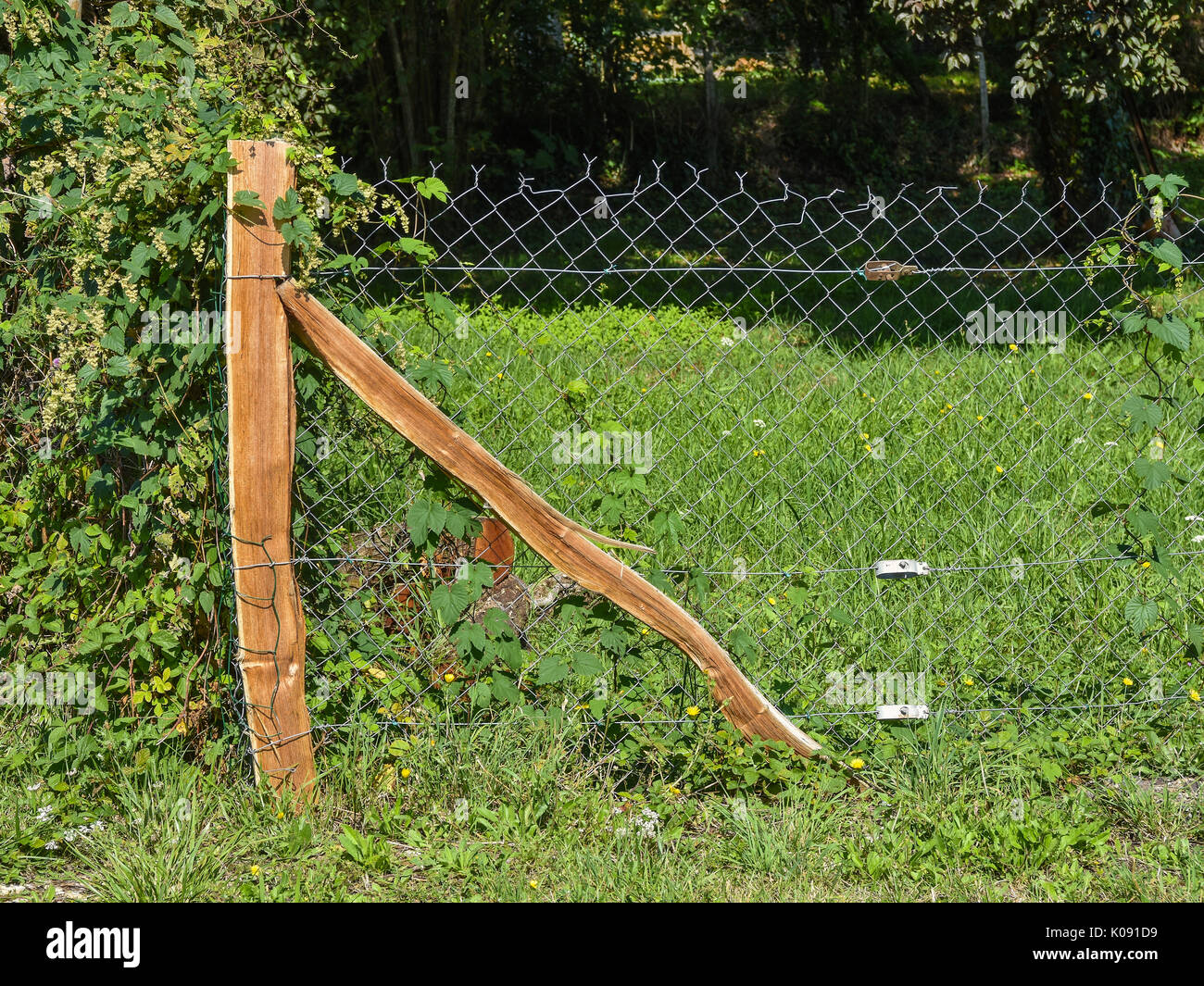 End support post for garden fence Stock Photo - Alamy