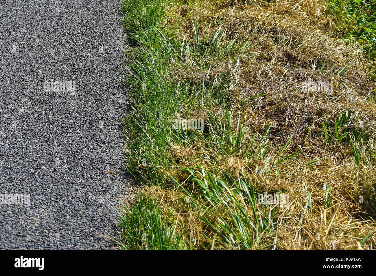 Cut grass at roadside verge Stock Photo - Alamy