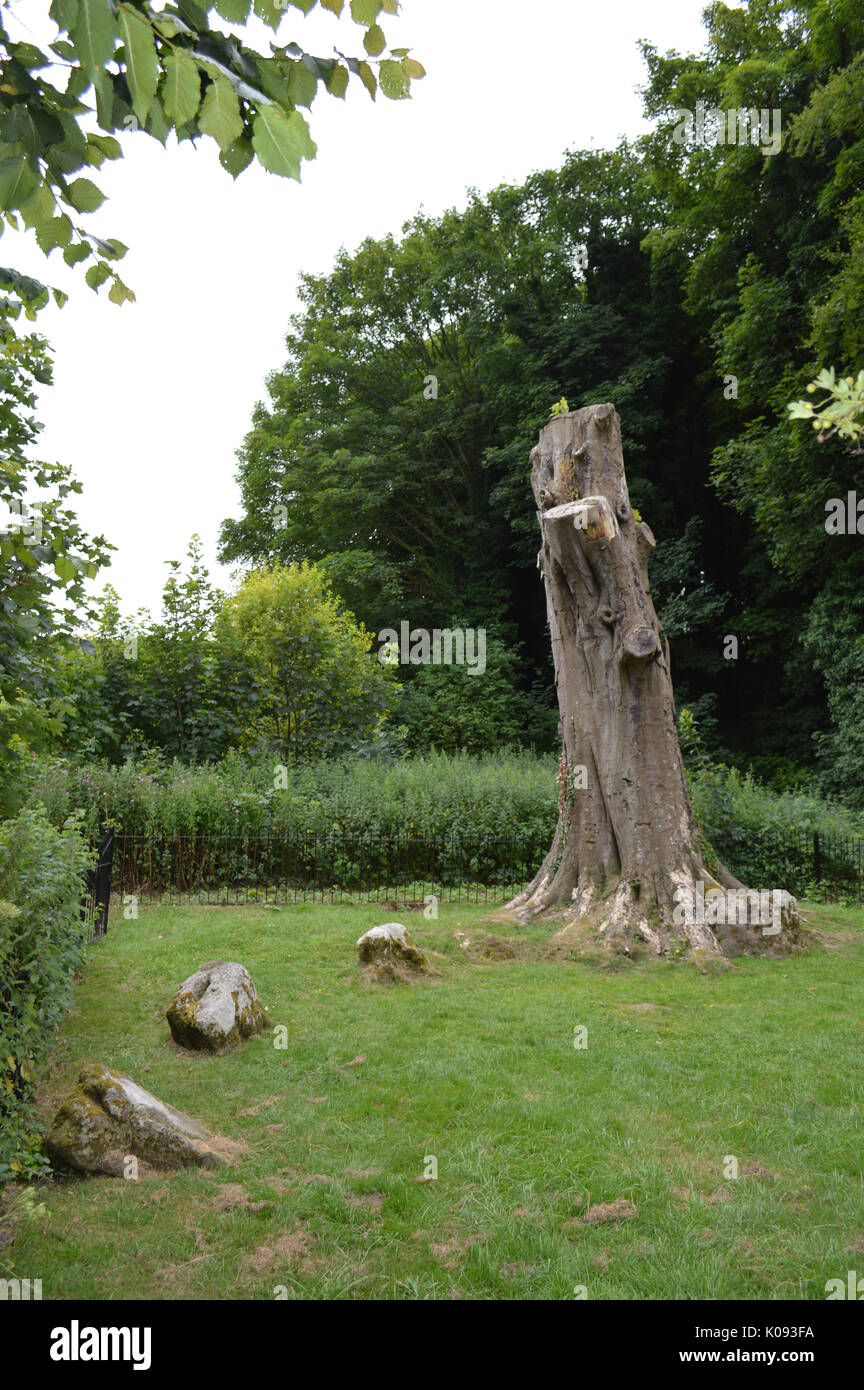 Winterbourne Abbas Nine Stones Ancient circle Stock Photo - Alamy