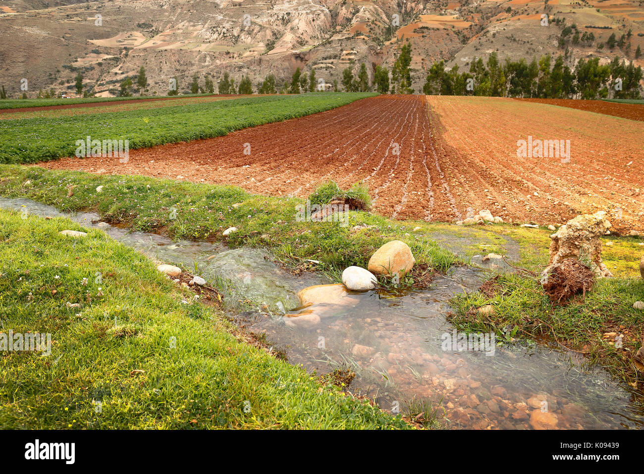 Agricultural fields in Chambara Stock Photo - Alamy